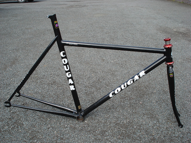 Lo pro cycling club: Cougar pursuit frame by Terry Dolan